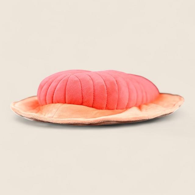 Dickinsonia Fossil Soft Stuffed Plush Toy – Lindiwe-plushies