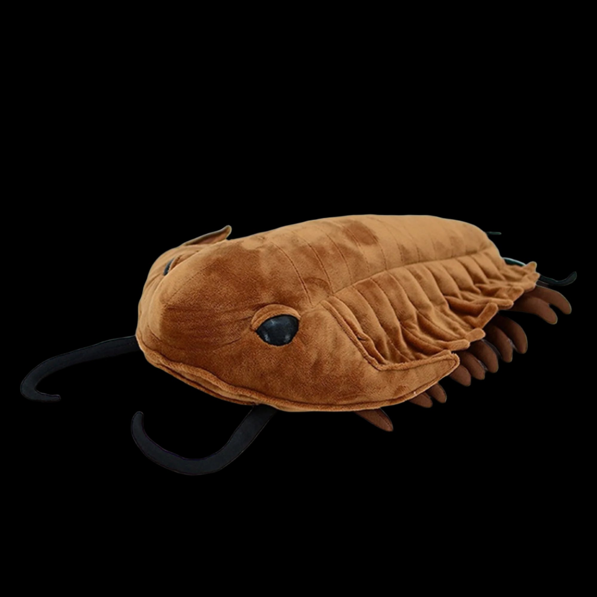 Trilobite Arthropod Soft Stuffed Plush Toy – Lindiwe-plushies